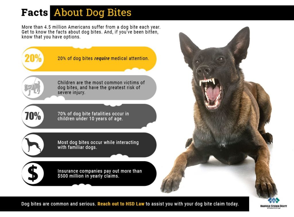 Tips for Dog Bite Prevention by Hadfield Stieben & Doutt